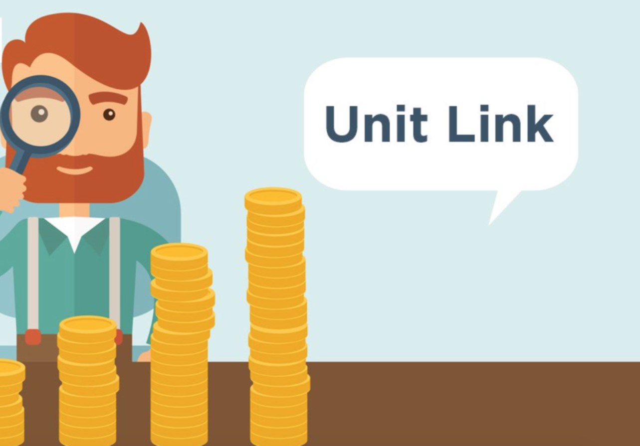 La polizza Unit Linked: significato e funzioni - L'Opinione