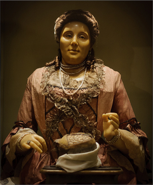 Anna Morandi Manzolini: l’arte della scienza - L'Opinione