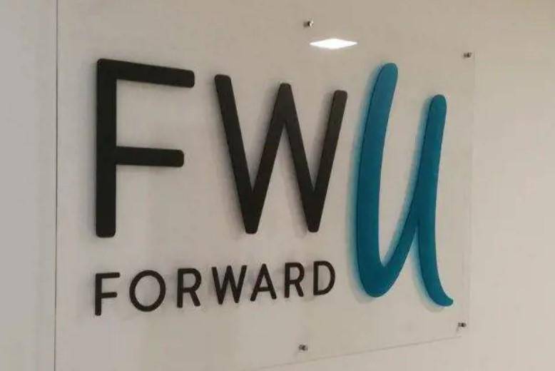 Un’altra crisi assicurativa: Fwu Life Insurance Lux - L'Opinione